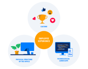 Intro to Employee Experience - Capacity